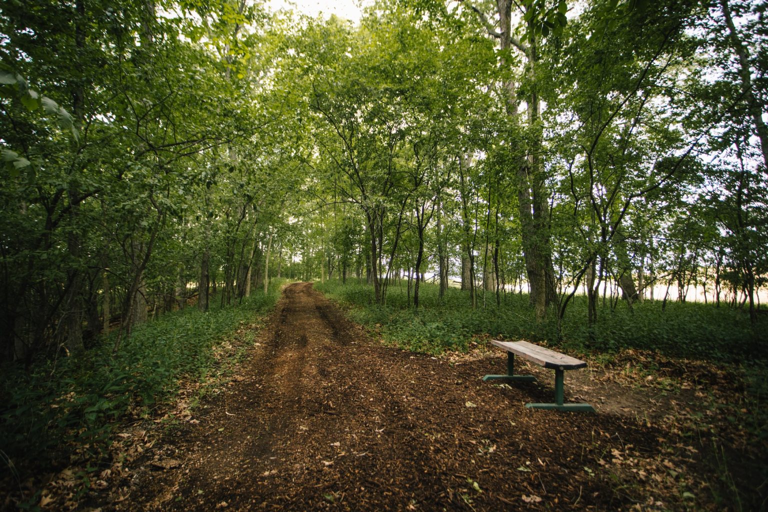 Rose Hill Center Cultivate Lifelong Well Being
